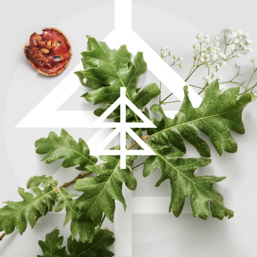 Inspiration & Idées en design graphique | page 1 | 99designs